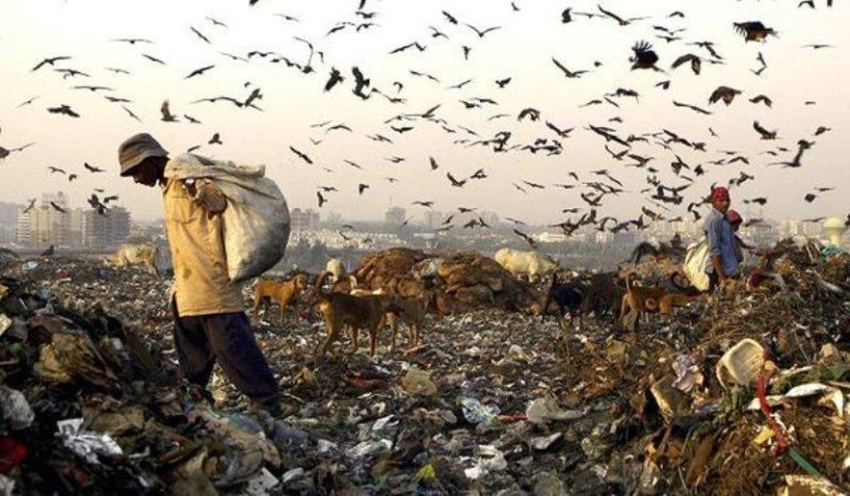 Discover the life of our "garbage Vala" - Bed & Chaï Blog